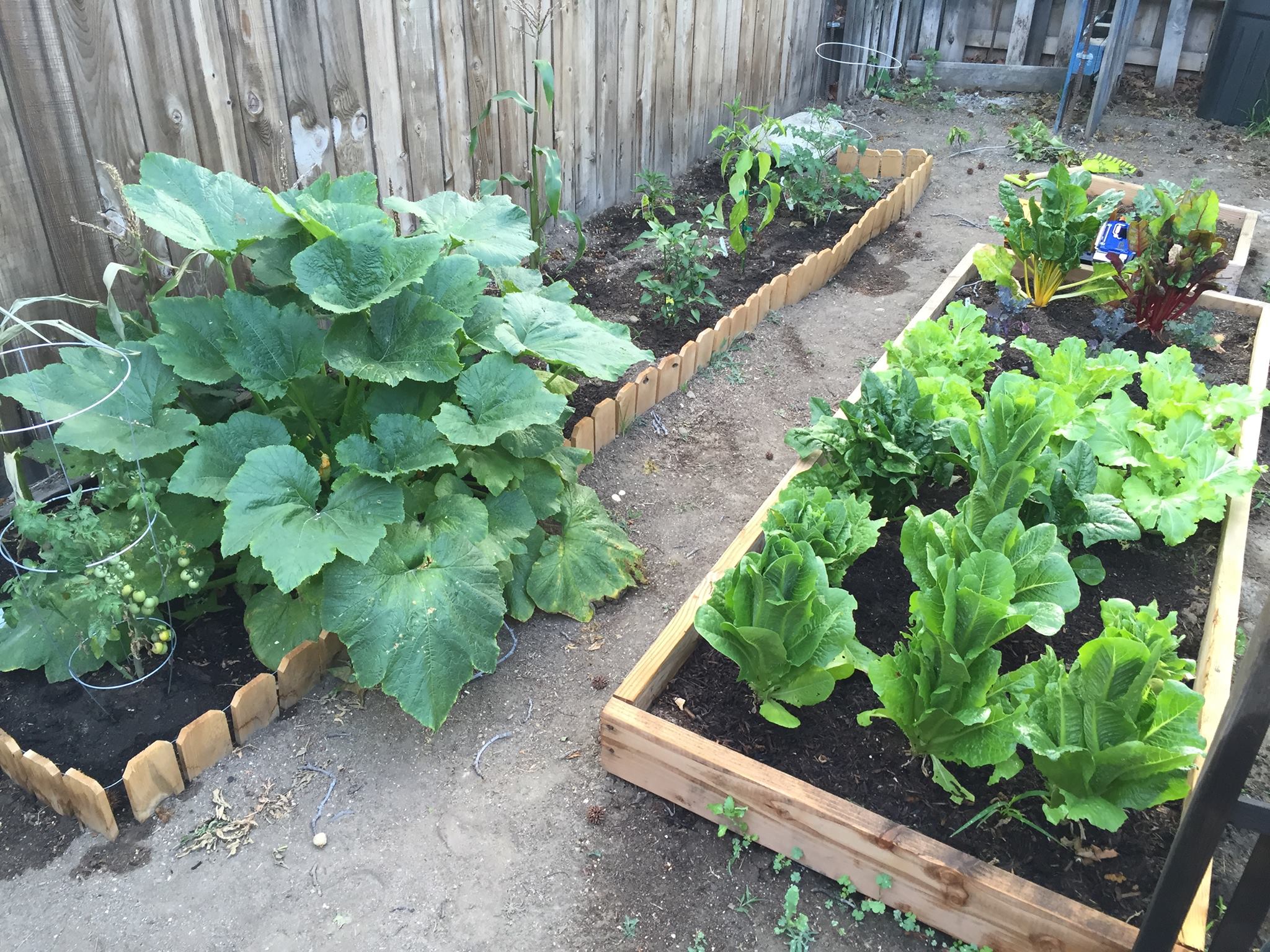 A kitchen, a garden and a book | where waves grow sweet