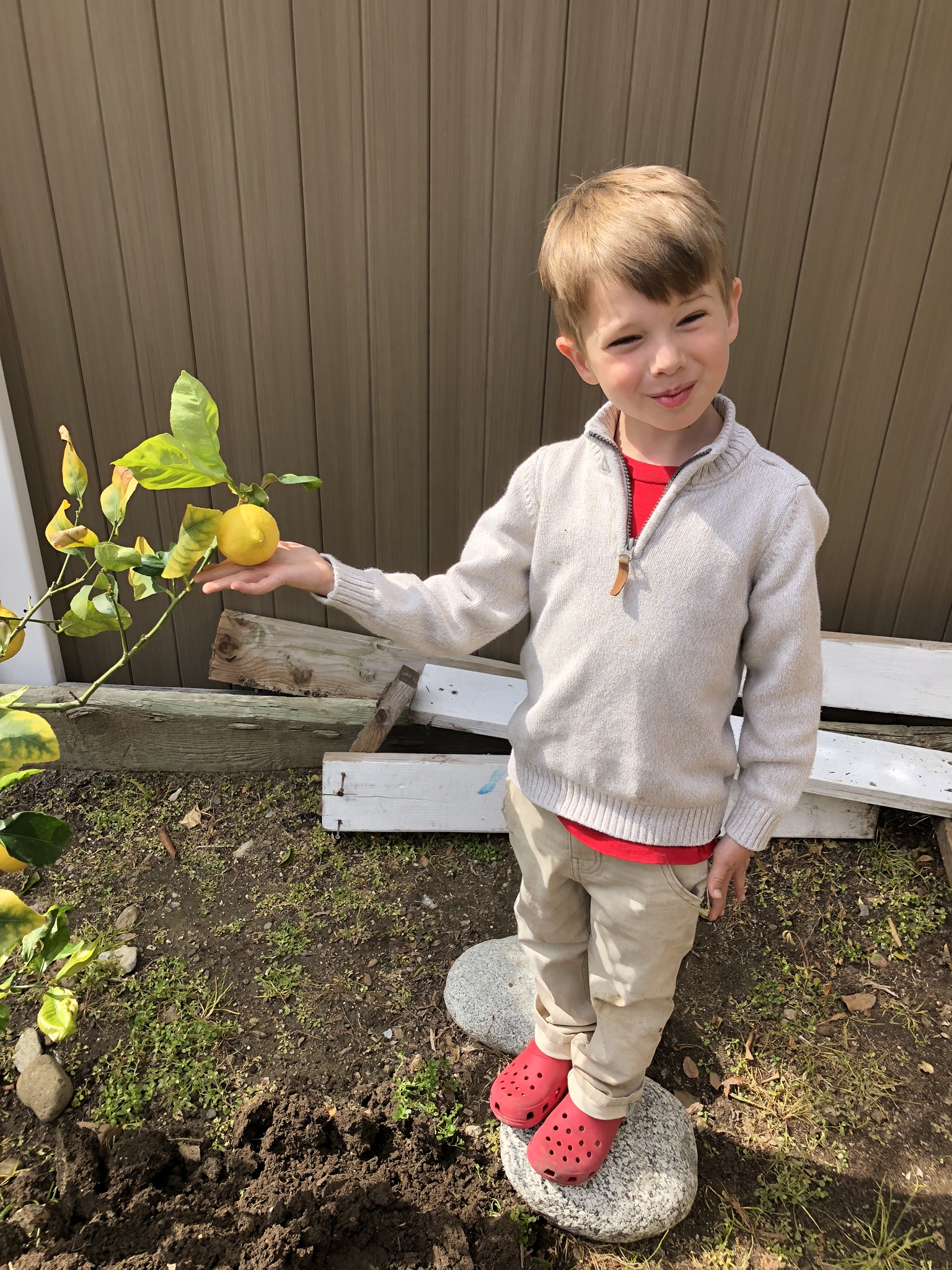 A small obedience | where waves grow sweet